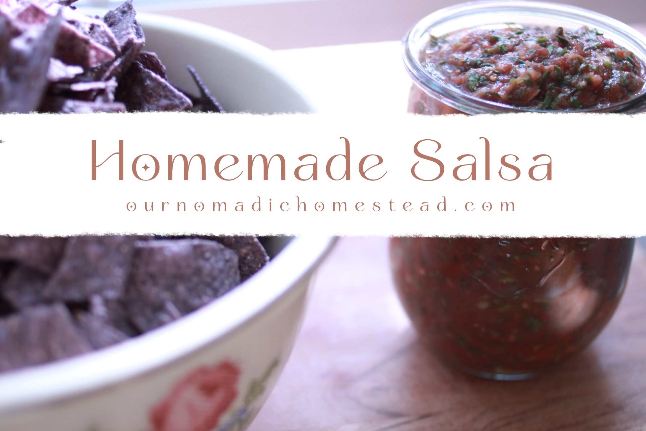 Homemade Salsa - Our Nomadic Homestead
