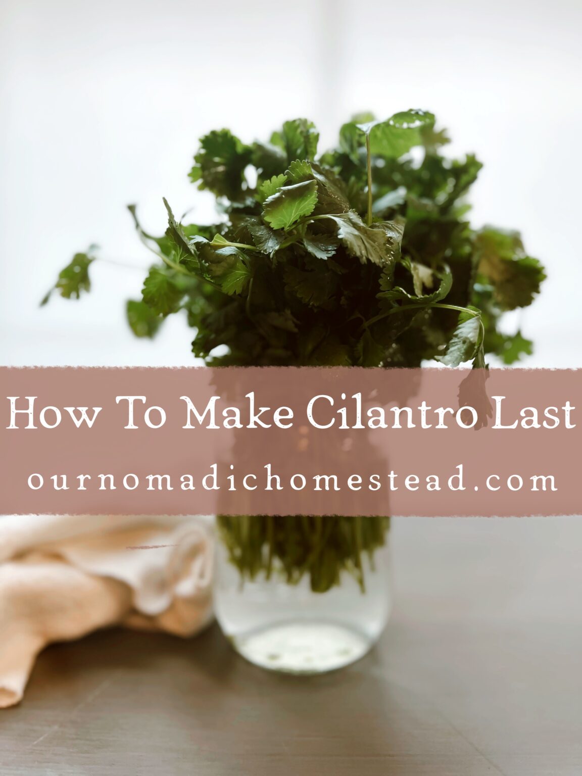 How To Make Cilantro Last - Our Nomadic Homestead