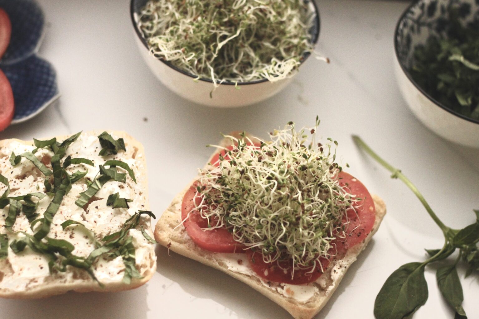 How to Grow Sprouts at Home - Our Nomadic Homestead