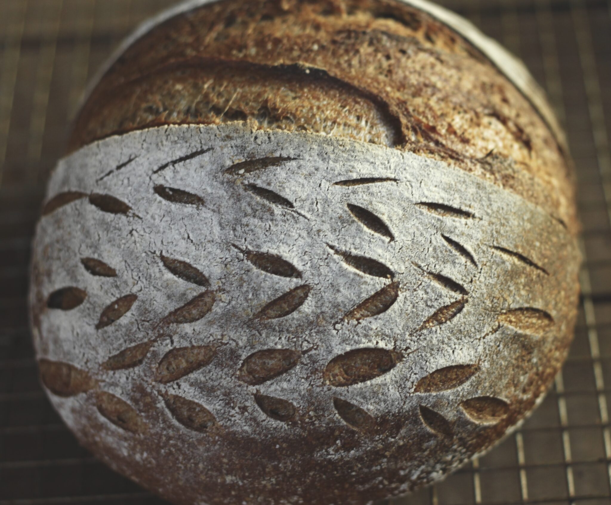 Your New Go-To Potluck Guide! - Our Nomadic Homestead