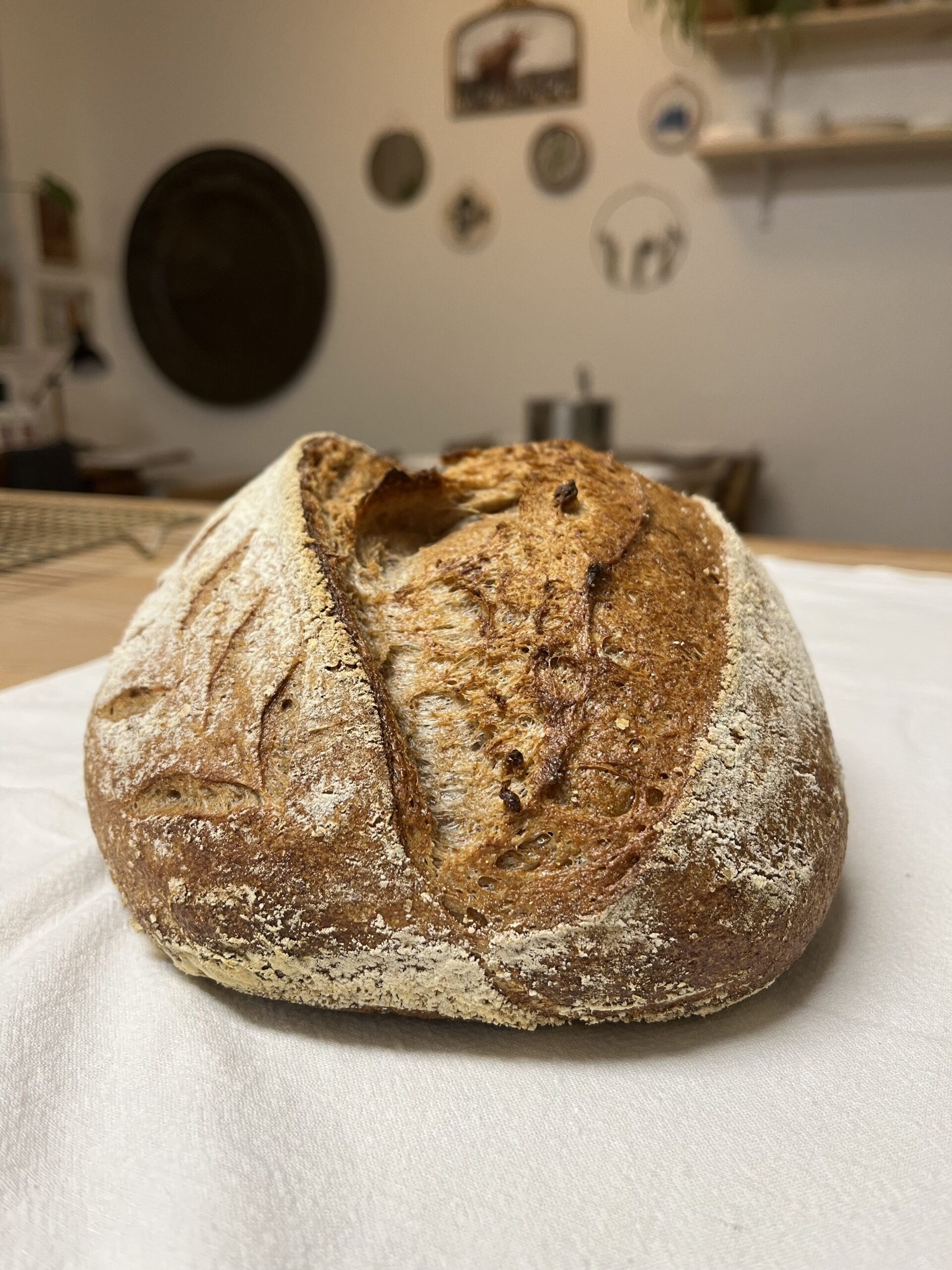 Simple Freshly Ground Whole Wheat Sourdough Bread Recipe - Our Nomadic ...